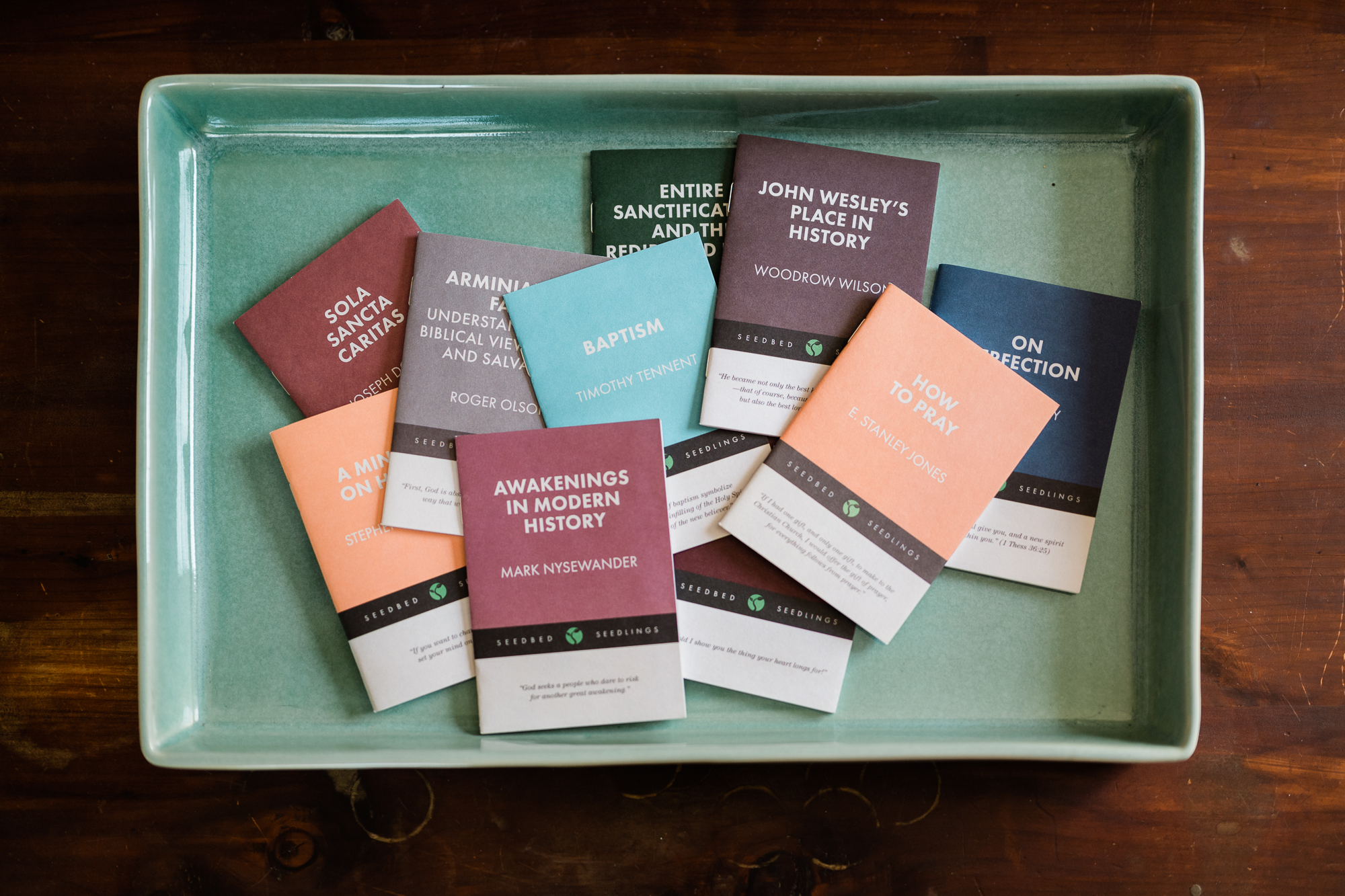 Seedbed Seedlings – My Seedbed